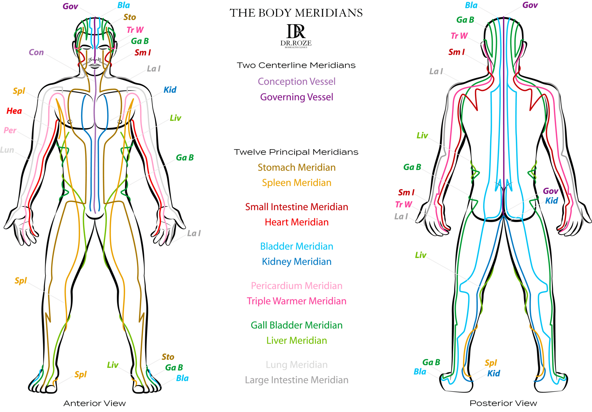 Chinese Meridian Theory Dubai | Dr Roze Biohealth Clinic