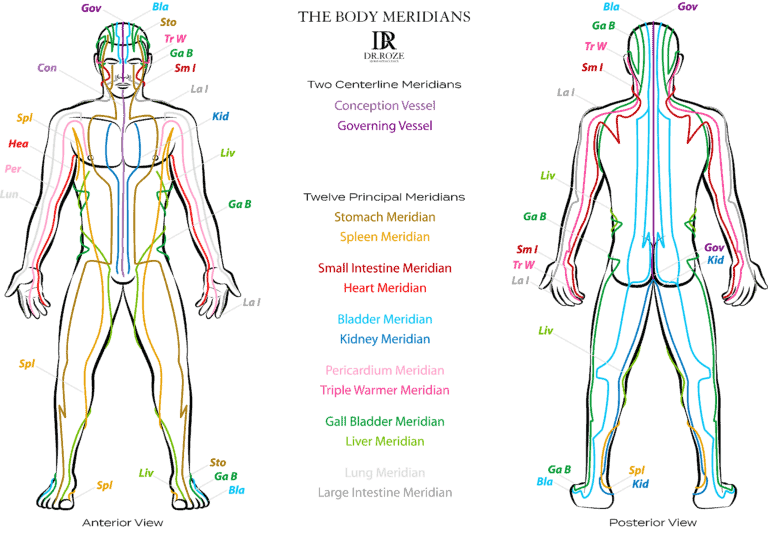 Chinese Meridian Theory Dubai | Dr Roze Biohealth Clinic