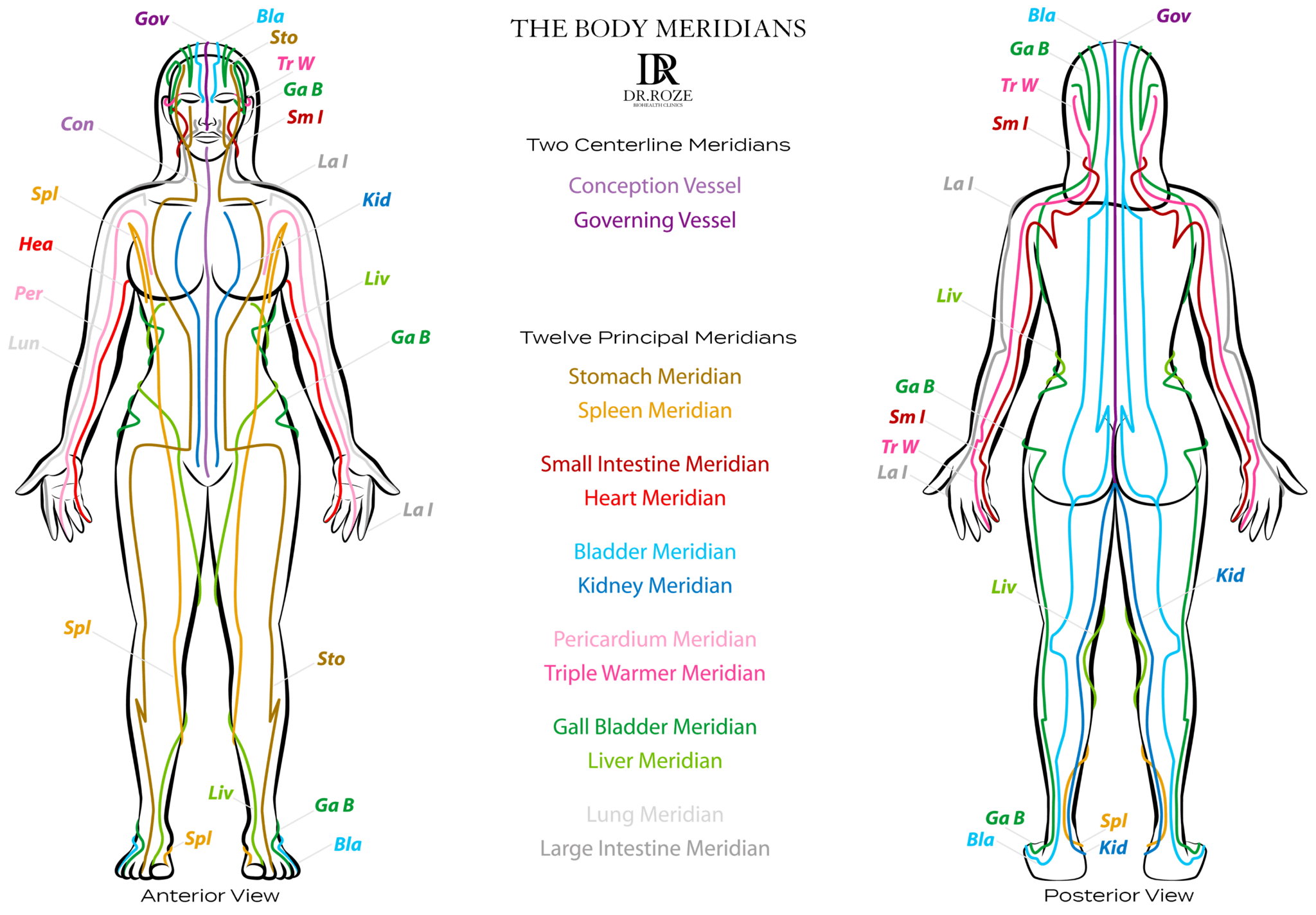 Chinese Meridian Theory Dubai | Dr Roze Biohealth Clinic