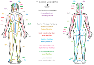 Chinese Meridian Theory Dubai | Dr Roze Biohealth Clinic