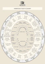 Biodental tooth chart | Dr Roze Biohealth Clinic | Meridian tooth chart