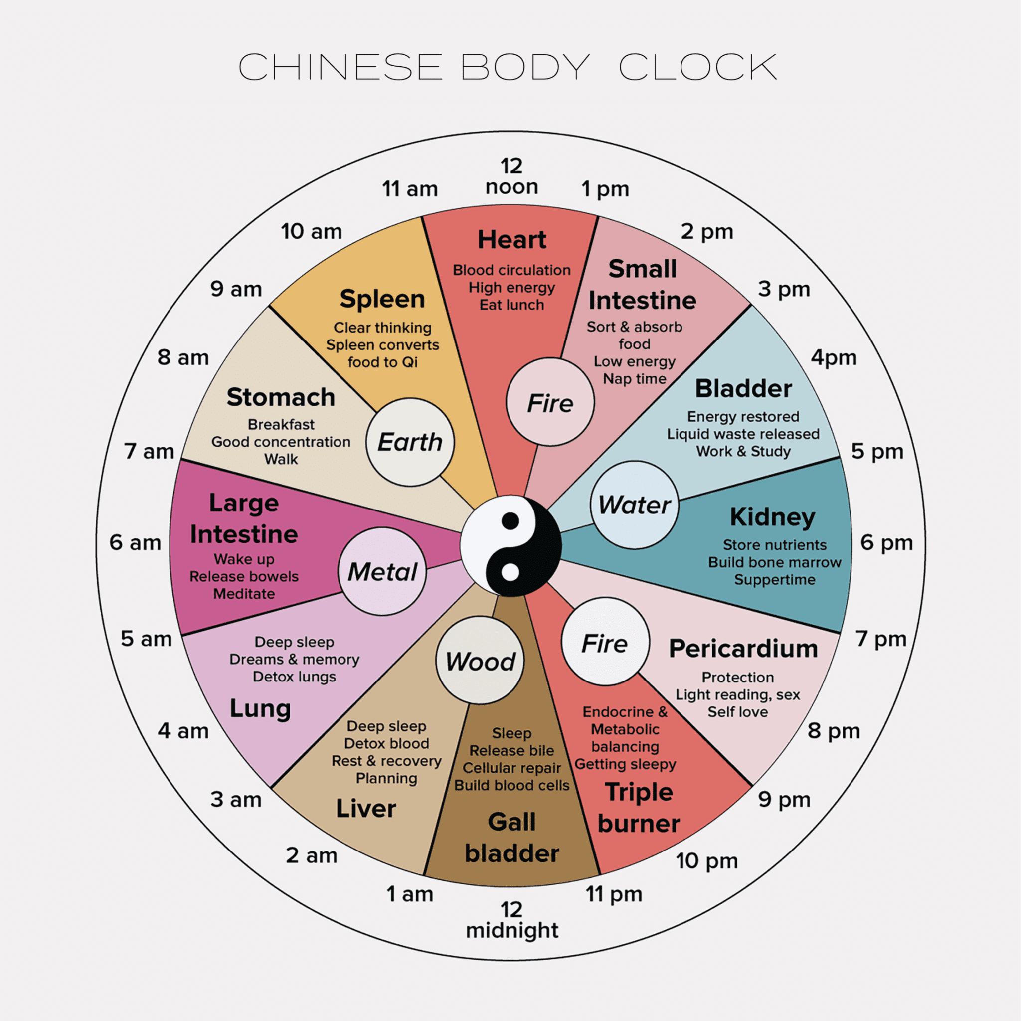 Chinese Meridian Theory Dubai | Dr Roze Biohealth Clinic